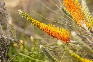 Wubin Hotel Motel – Wubin, Western Australia.